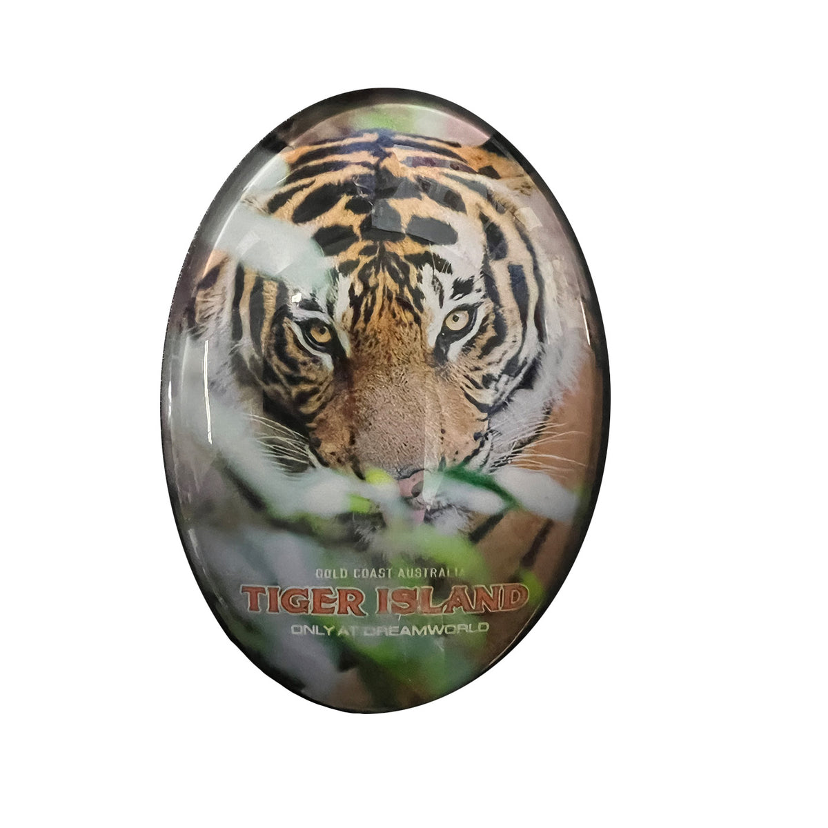 CRYSTAL TIGER ISLAND MAGNET – Dreamworld Online Store